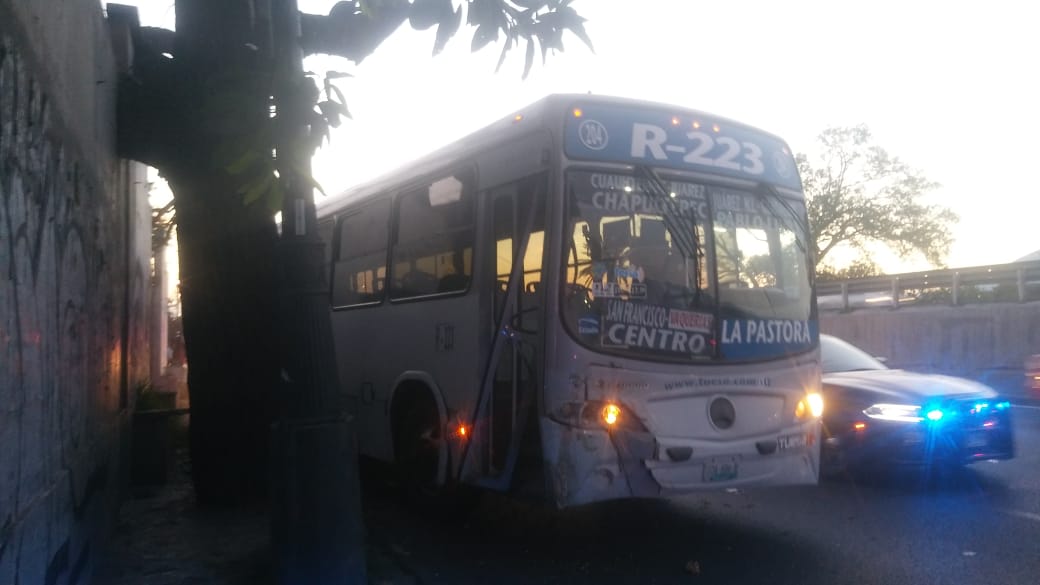 Ruta 223 choca y derriba árbol en avenida Constitución | Telediario México