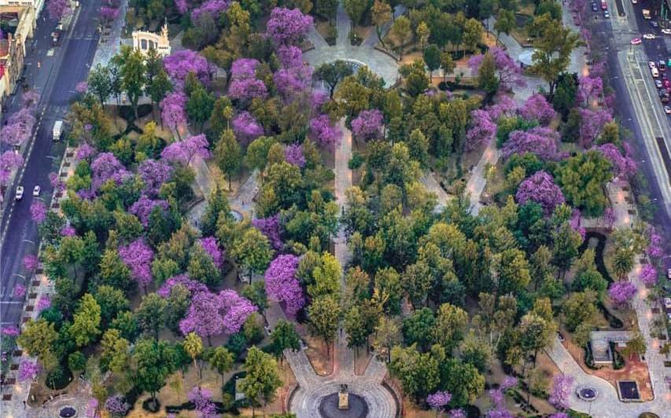 ¿Cuándo es el equinoccio de primavera 2019 en México? | Telediario México