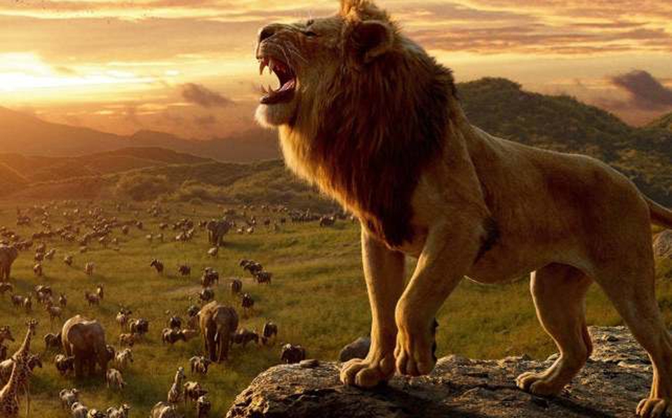 Te decimos cuándo se estrena 'El rey león' en México | Telediario México
