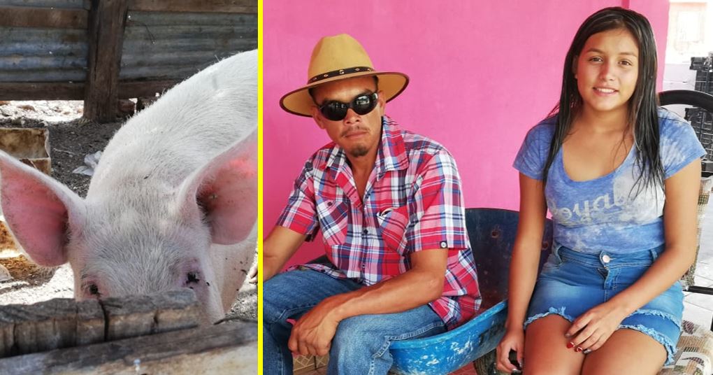 Con sólo un marrano piensa festejar los XV años de su hija lagunera ...