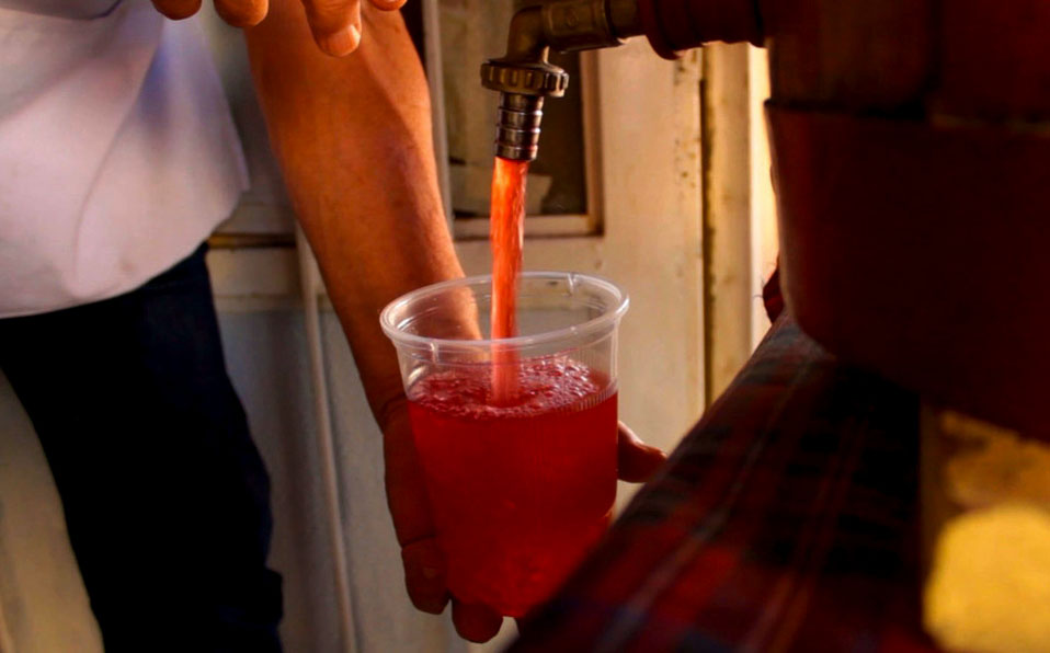 Beneficios De La Cebadina Bebida Tracicional De León Telediario México