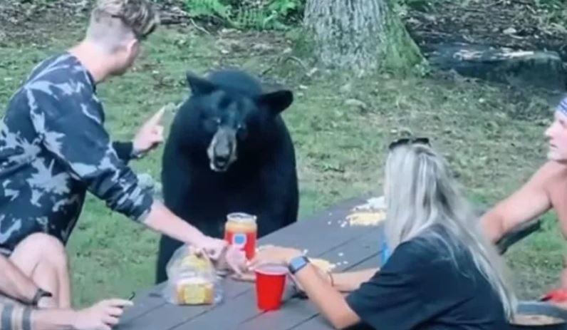 Oso se sienta a comer con una familia en un campamento | Telediario México