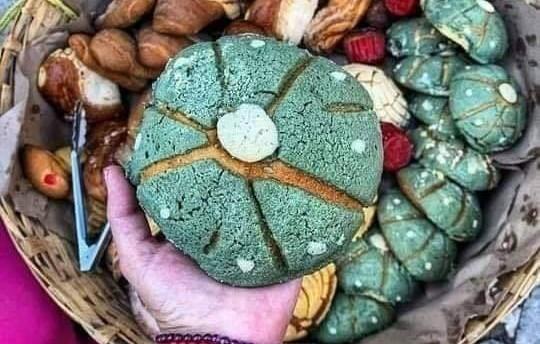 ¿Conchas de peyote? Llegaron las “peyoconchas” | Telediario México