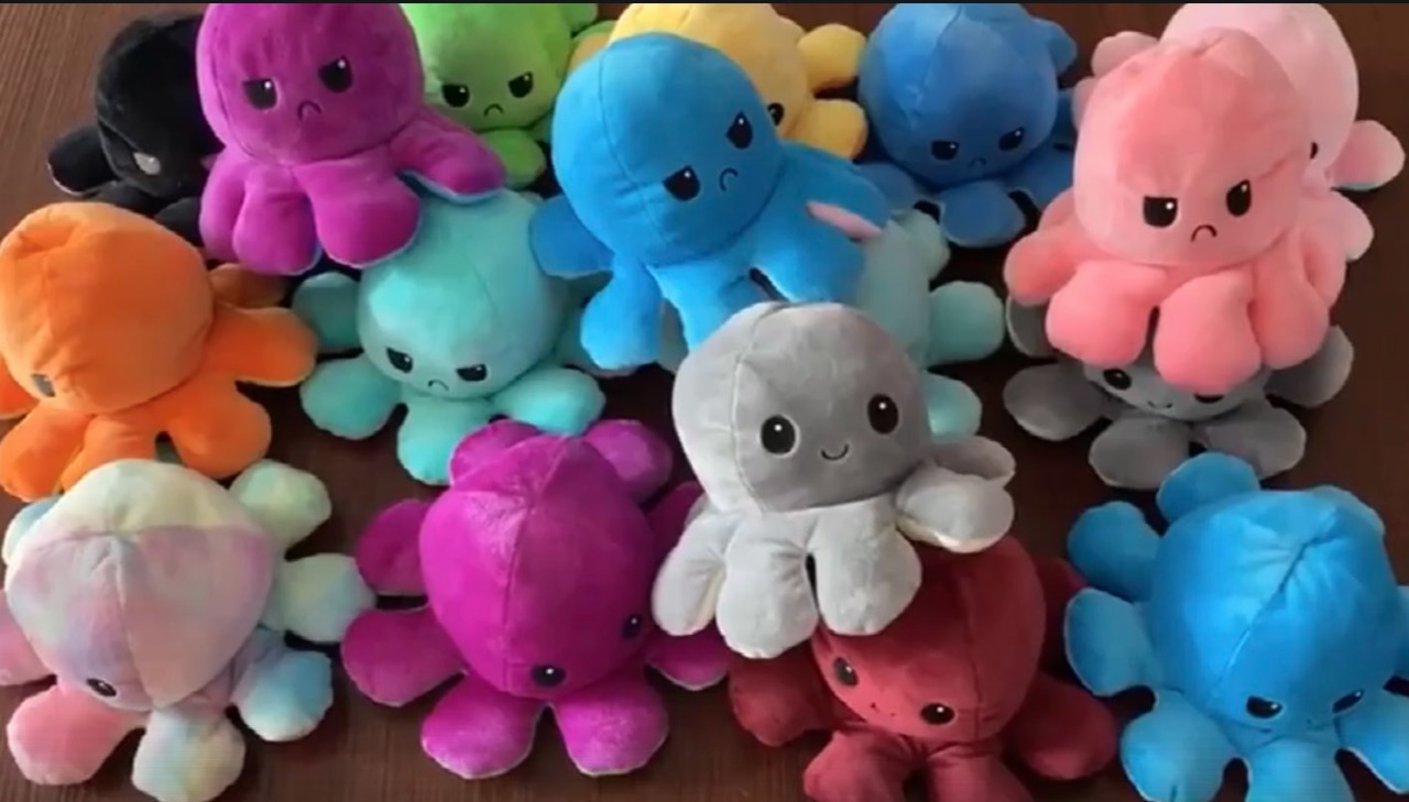 Conoce el origen de los pulpos reversibles | Telediario México