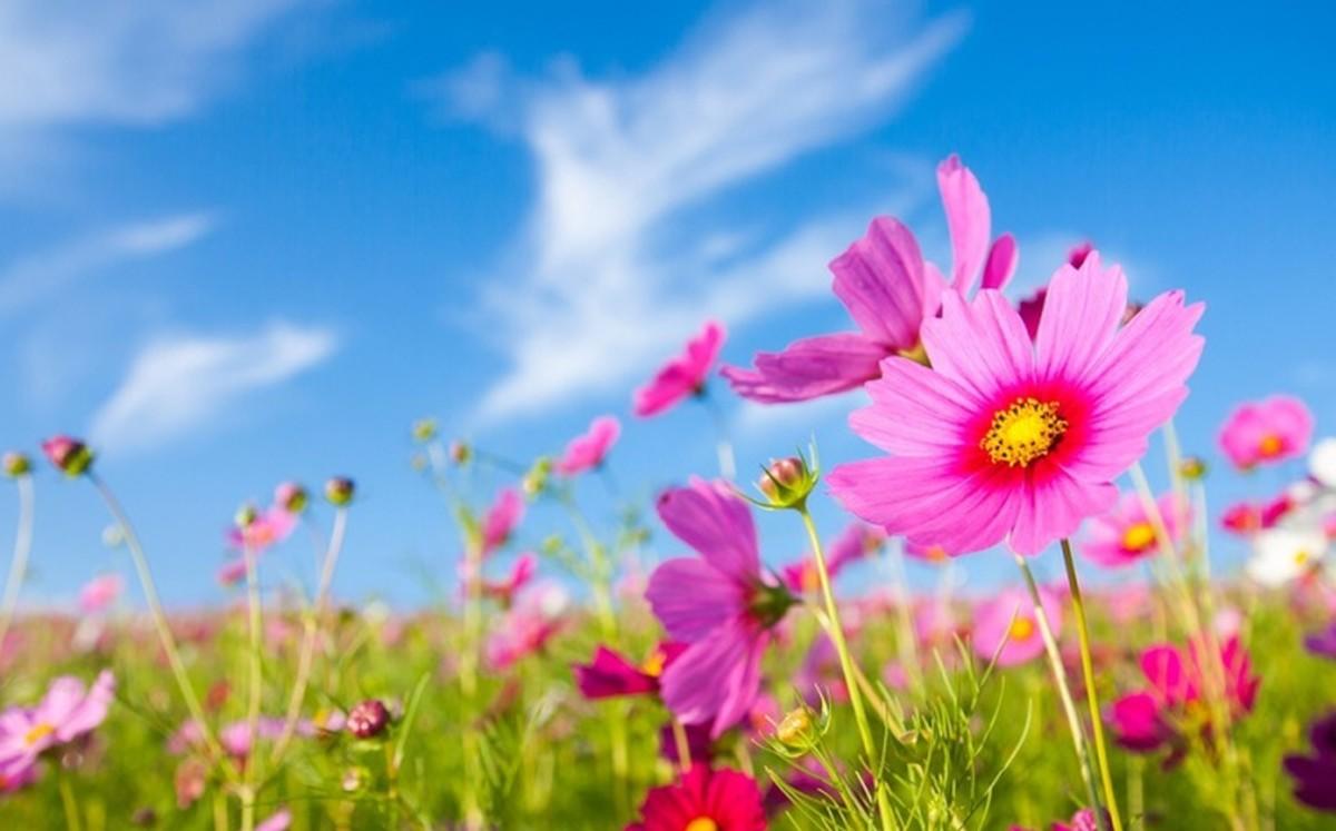 Te decimos qué día y hora será el Equinoccio de Primavera en México ...