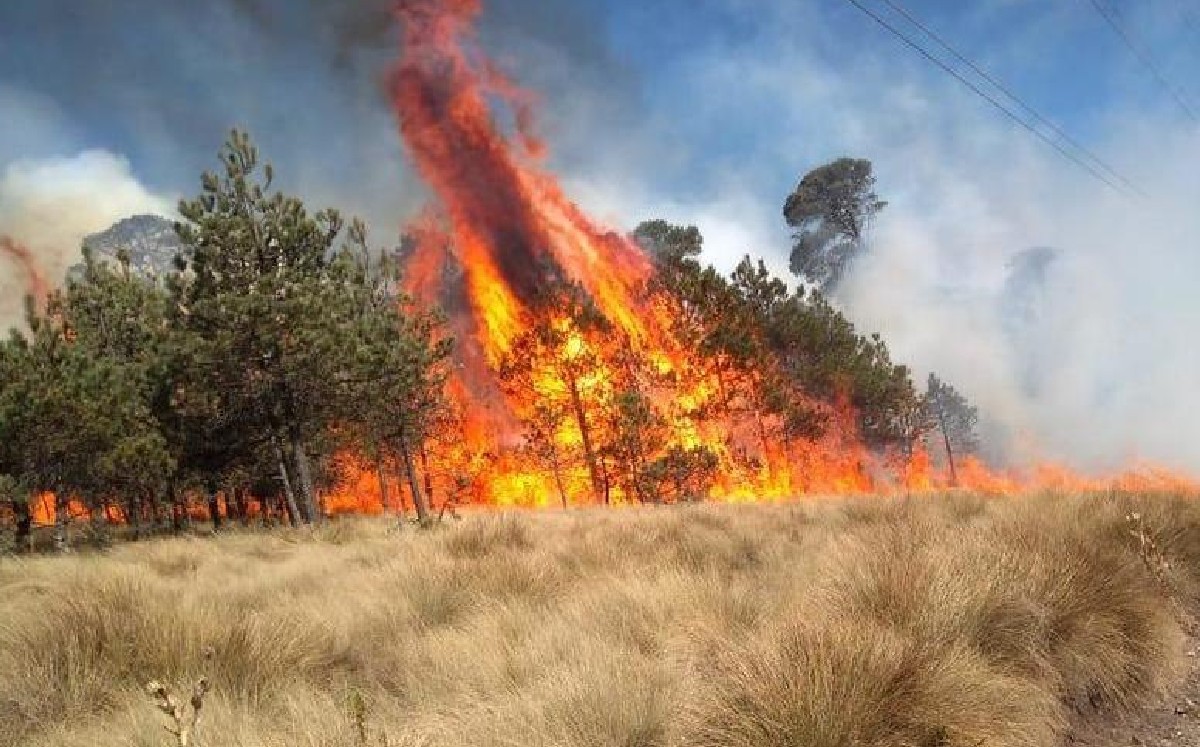 CDMX la segunda entidad con más incendios en México | Telediario México
