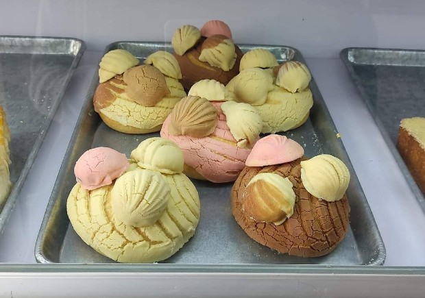 ¡Conoce la nueva variante de las conchas! Te presentamos la ...