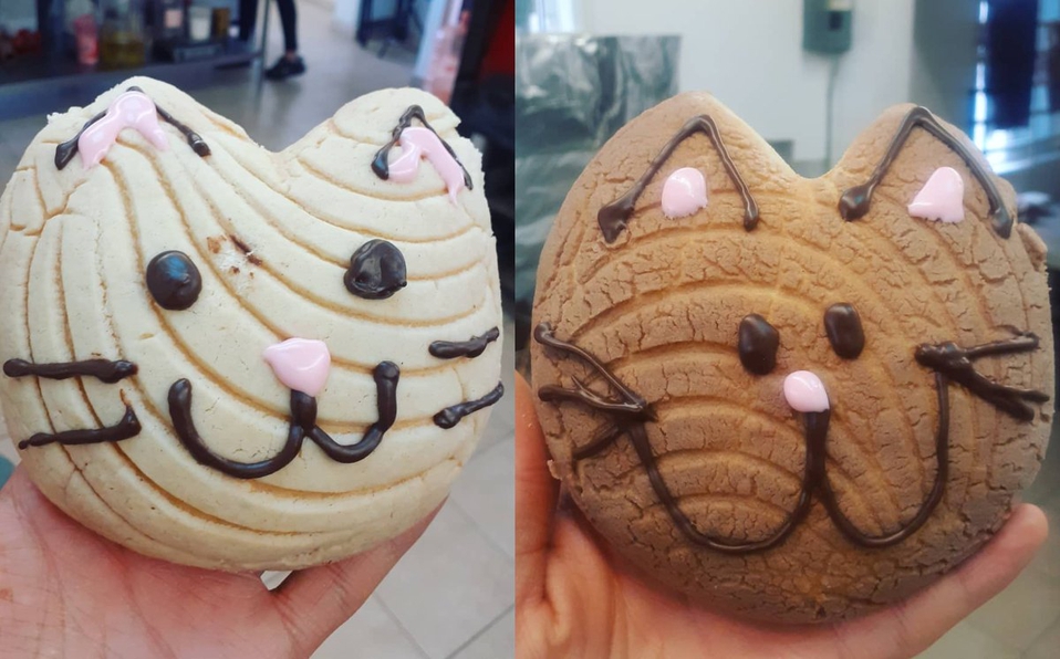 El pan perfecto no exis.... Panadería en CdMx crea la Michi Conchas ...