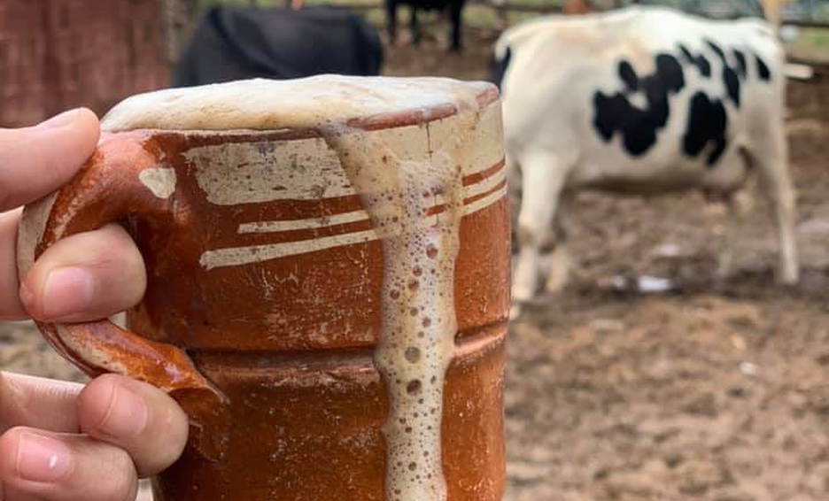 Conoce el pajarete; bebida con leche bronca y tradición mexicana ...