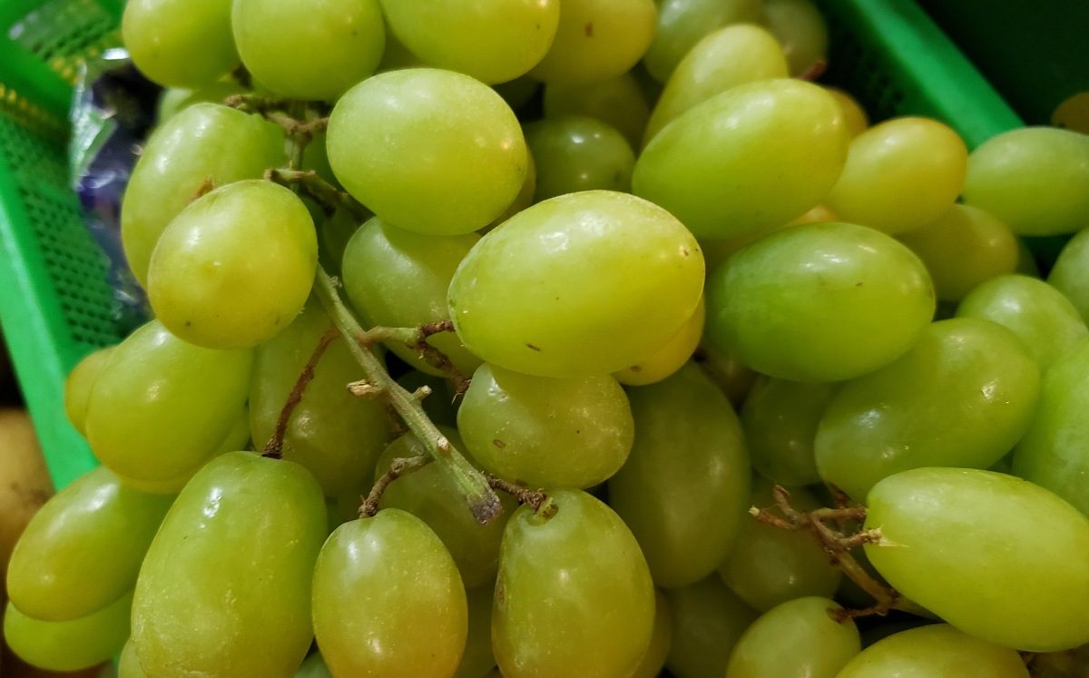 Cuánto cuesta el kilo de uva en Monterrey| Telediario México