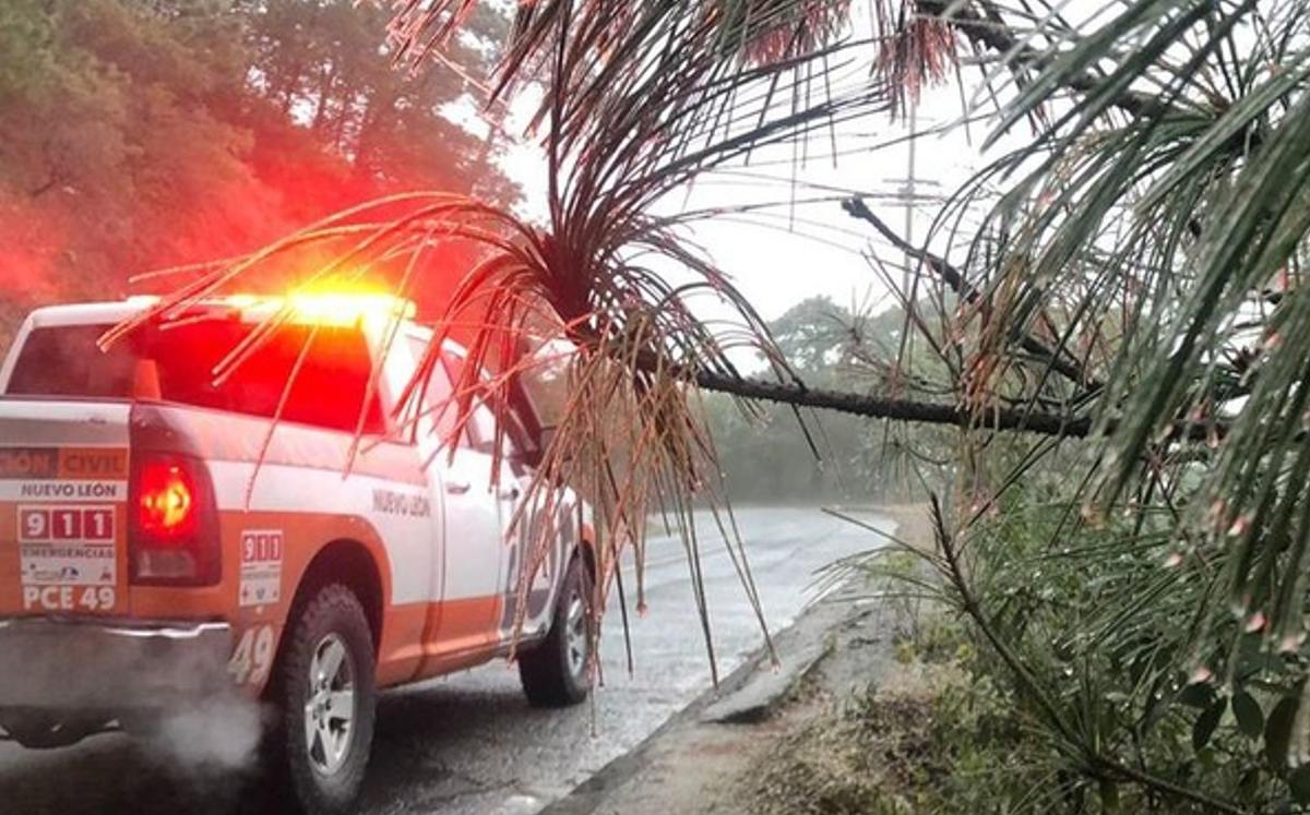 Chipinque amanece congelado| Telediario México