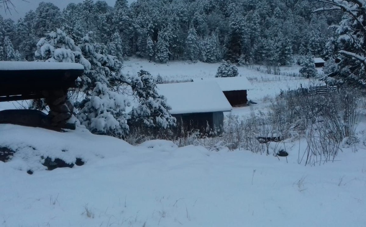 La Rosilla, Durango, baja a menos 15 grados centígrados| Telediario México
