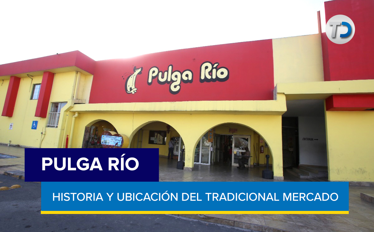 Pulga Río: Dónde se ubica el mercado de Monterrey| Telediario México