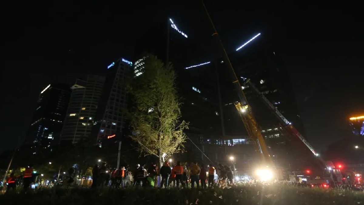 Plantan Ahuehuete en antigua Glorieta de la Palma en Reforma ...