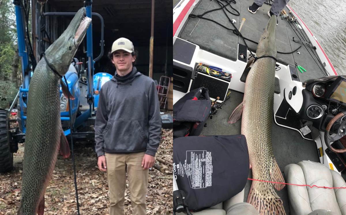 Padre e hijo capturan un pez considerado un fósil viviente| Telediario ...