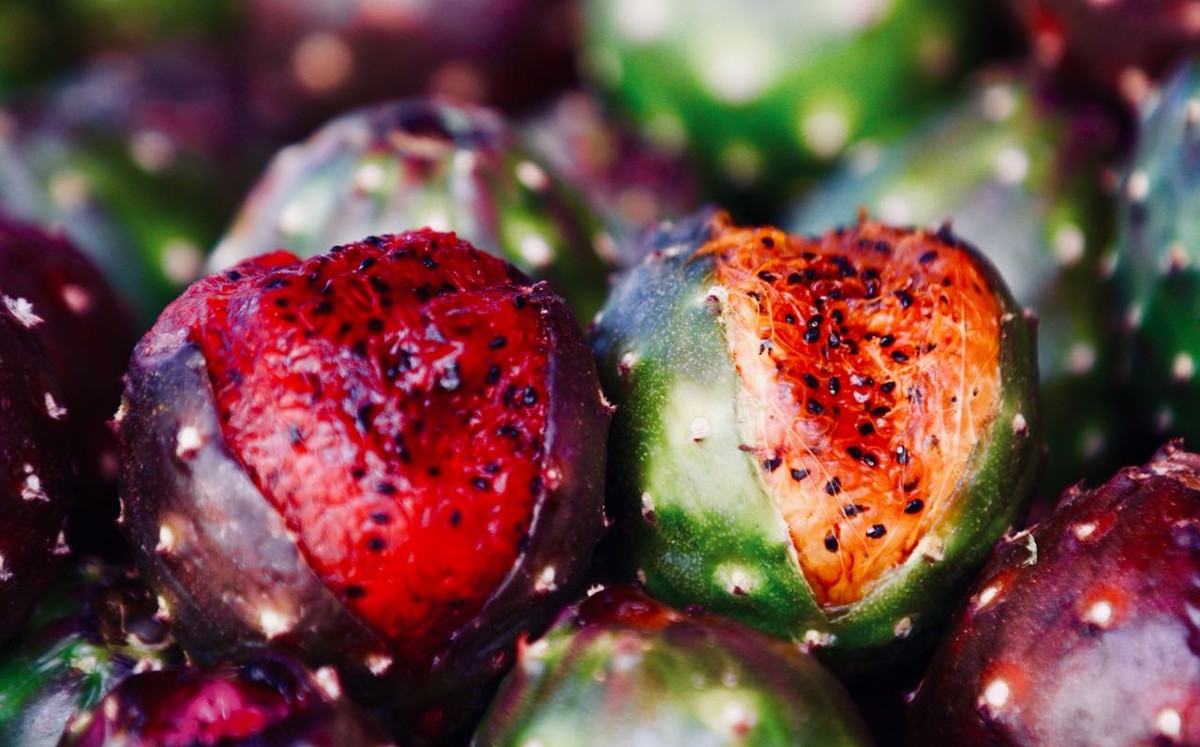 Pitayas son más baratas en la Plaza de las 9 Esquinas, Guadalajara ...