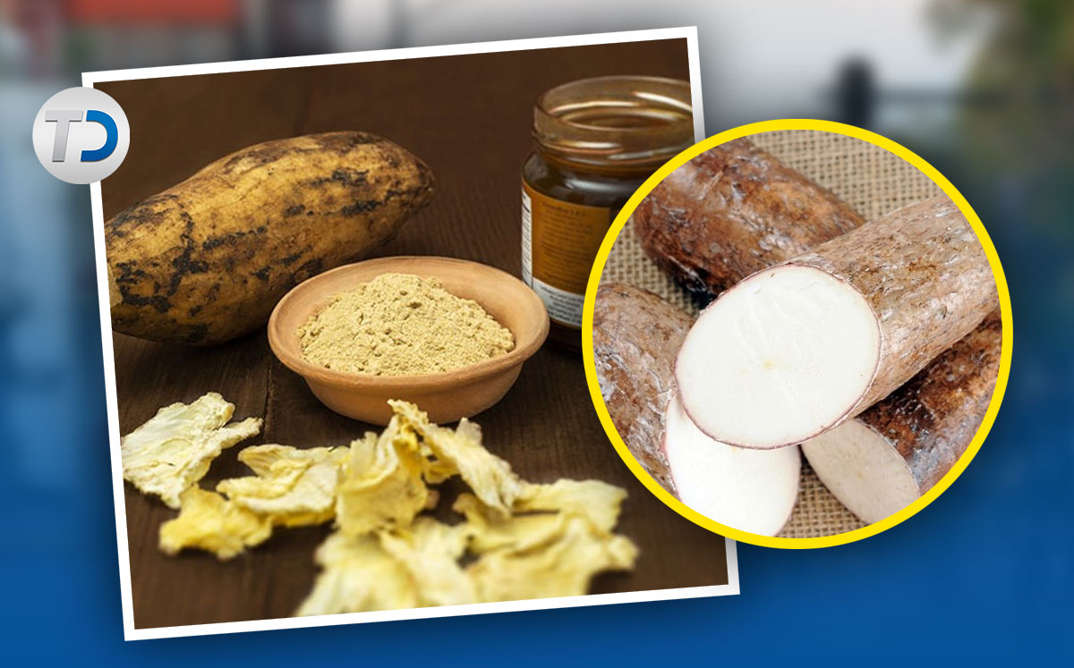 Yacón qué es, propiedades y beneficios