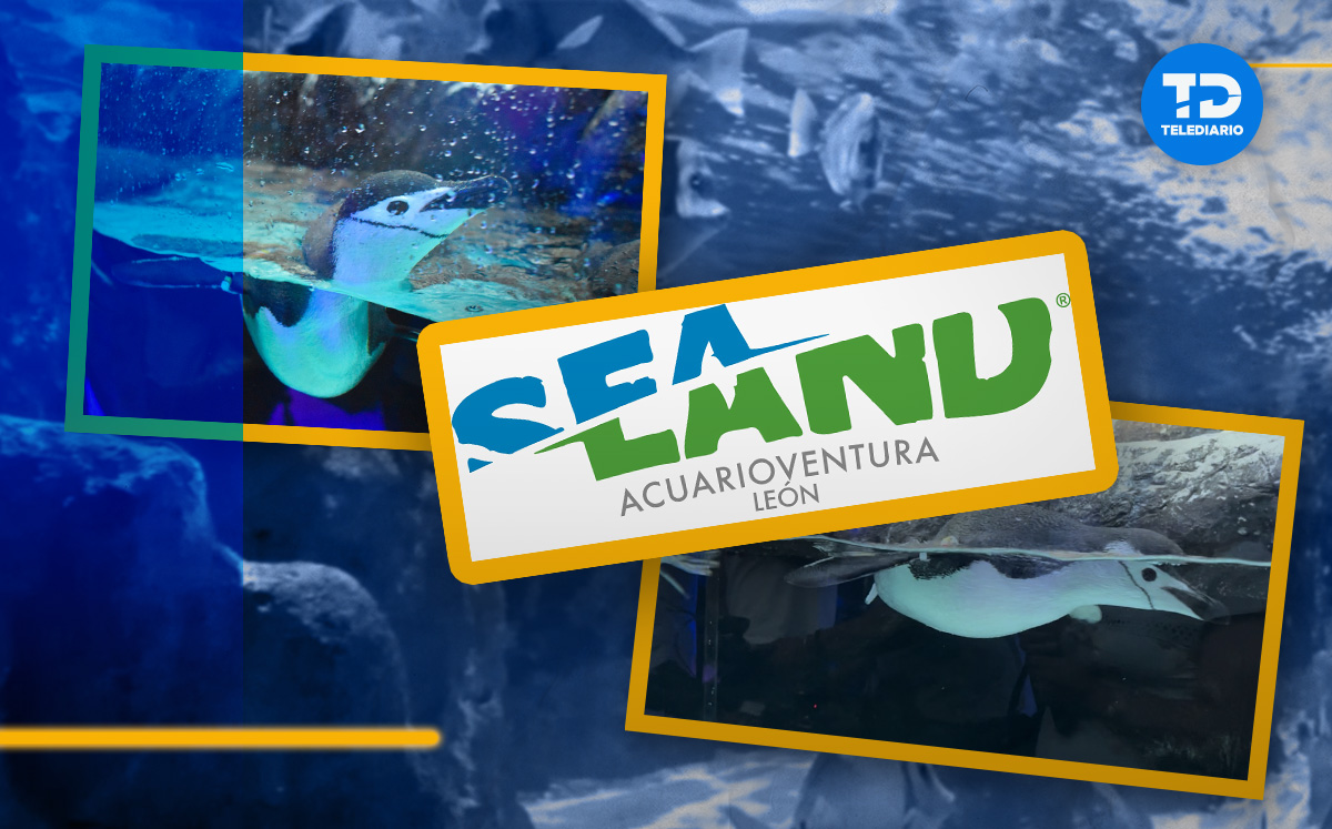 Sealand León: Todo lo que necesitas saber| Telediario México