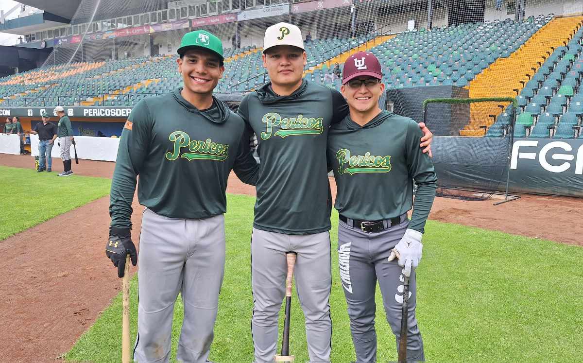 Pericos de Puebla buscará ganar la Liga Invernal Mexicana 2023 ...