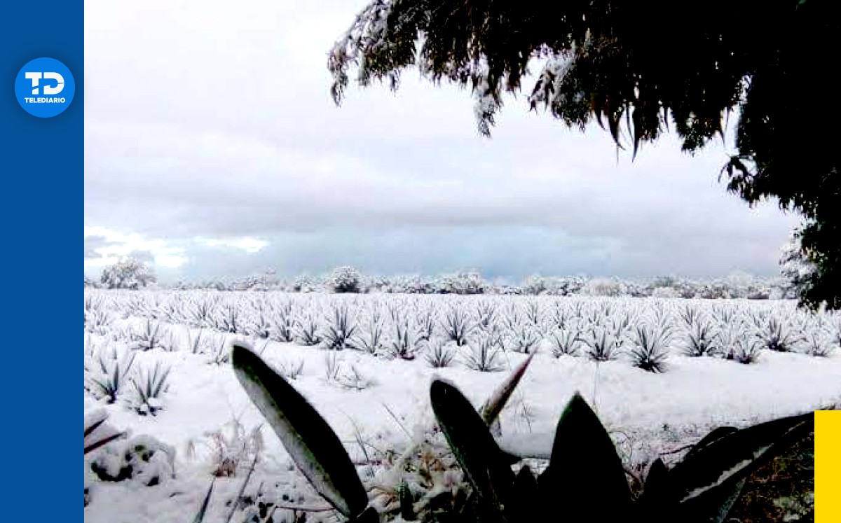 Cuándo fue la última vez que nevó en Guadalajara| Telediario México
