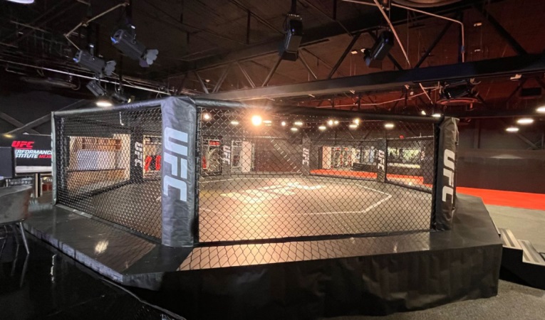 La UFC inaugura su performance de MMA en la Ciudad de México ...