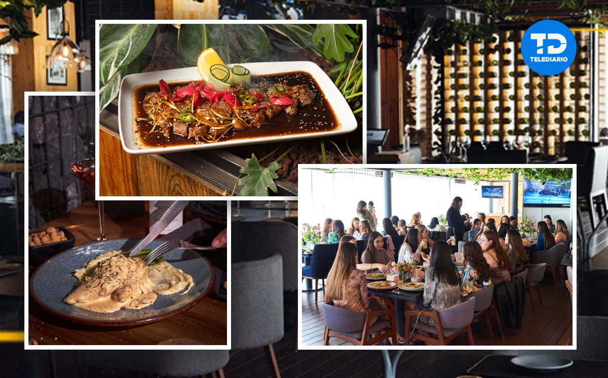 Restaurante Tapanco en Saltillo: Cuáles son los precios| Telediario México