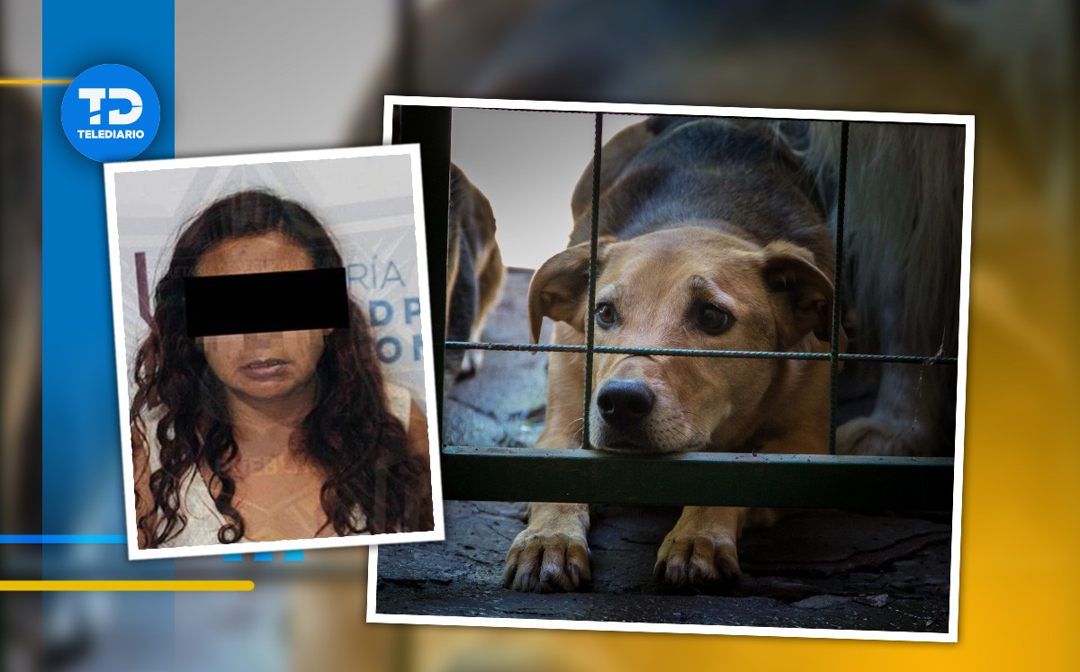 María Consuelo 'La mataperros' de Puebla: quién es| Telediario México