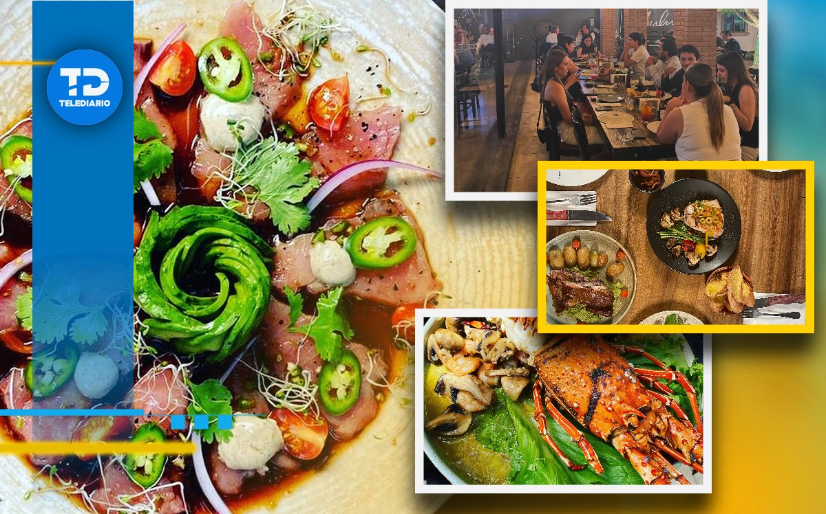 Lulú Cocina y Vino Saltillo: Cuánto cuesta comer en ese restaurante ...